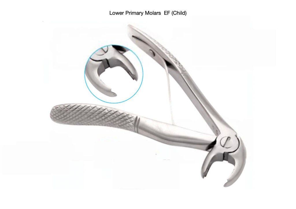 Dental Forceps-Lower and Upper Primary Molars (Child) - Izal Medical ...